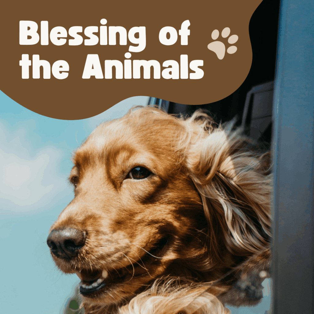 Blessing of the Animals - Bethlehem Church